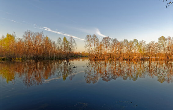 Treeline Images – Browse 28,562 Stock Photos, Vectors, and Video ...