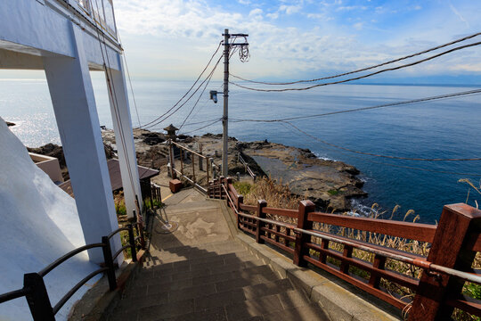 Catamite 影像 – 瀏覽 1,098 個素材庫相片、向量圖和影片 | Adobe Stock
