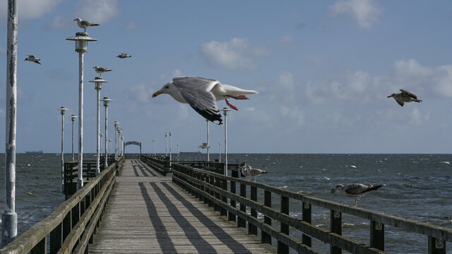 Shut-Down Images – Browse 59 Stock Photos, Vectors, and Video | Adobe Stock