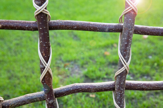 Weidengeflecht-Bilder: Stock-Fotos & -Videos. | Adobe Stock