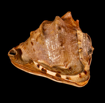 รูปภาพDabble – เลือกดูภาพถ่ายสต็อก เวกเตอร์ และวิดีโอ15,323 | Adobe Stock