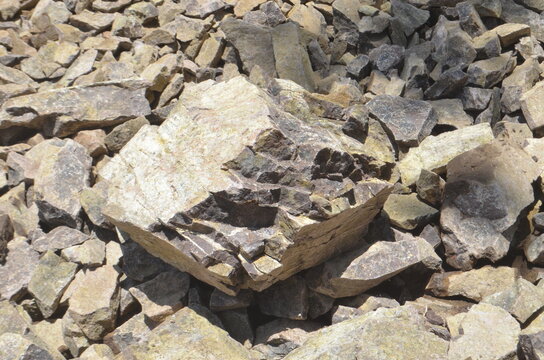 Imágenes de Cuarteado: descubre bancos de fotos, ilustraciones ...