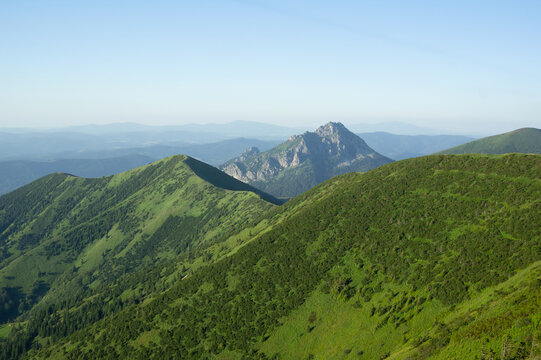 Velky bilder – Bläddra bland 1,576 stockfoton, vektorer och videor ...