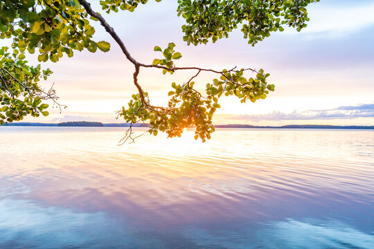 Sanset Bilder – Durchsuchen 1,395 Archivfotos, Vektorgrafiken und ...