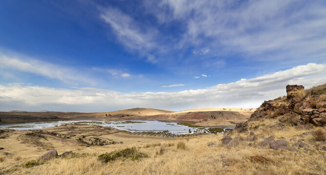 Kolla bilder – Bläddra bland 135 stockfoton, vektorer och videor ...