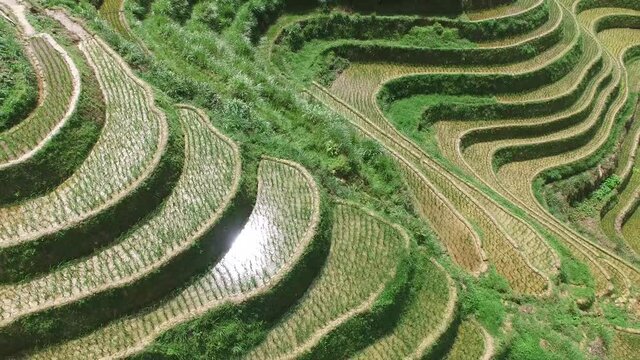 "Longji Rice Terraces" Images – Browse 1,476 Stock Photos, Vectors, and ...