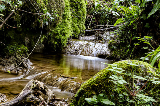 Ruisseau Images – Browse 36,033 Stock Photos, Vectors, and Video ...