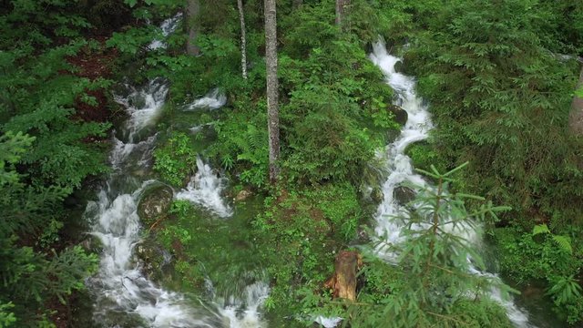 Wellspring Bilder – Durchsuchen 3,135 Archivfotos, Vektorgrafiken und ...