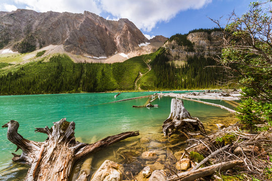 Reingefallen Bilder – Durchsuchen 1,718 Archivfotos, Vektorgrafiken und ...