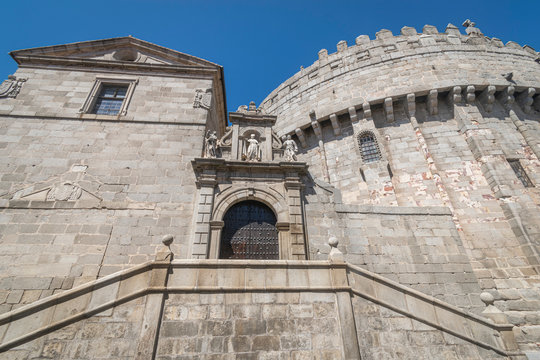 Tiburio Bilder – Durchsuchen 2,551 Archivfotos, Vektorgrafiken und ...