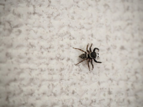 รูปภาพGaebul – เลือกดูภาพถ่ายสต็อก เวกเตอร์ และวิดีโอ748 | Adobe Stock