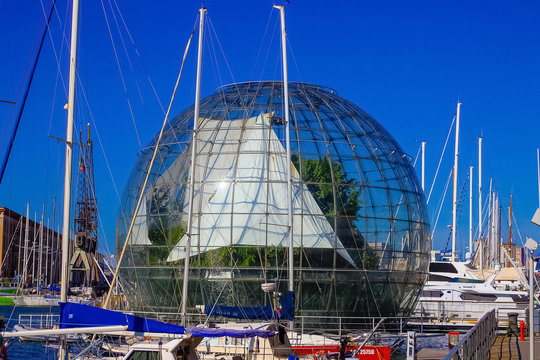 Renzo bilder – Bläddra bland 787 stockfoton, vektorer och videor ...