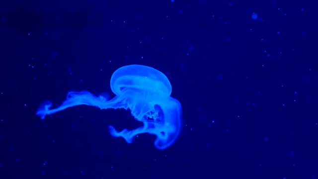 Tropicarium Bilder – Durchsuchen 112 Archivfotos, Vektorgrafiken und ...