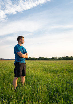 Imágenes de Futtergras: descubre bancos de fotos, ilustraciones ...