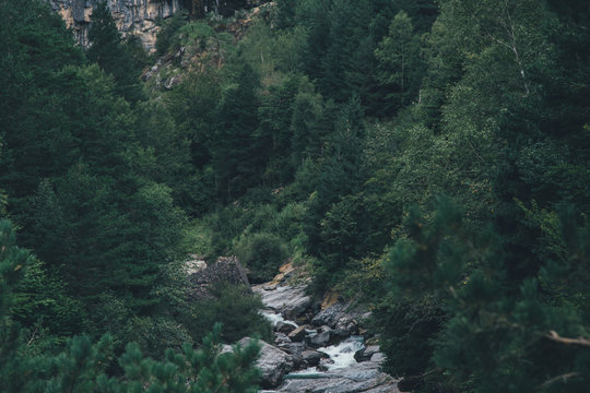 Frondoso Images – Browse 2,672 Stock Photos, Vectors, and Video | Adobe ...