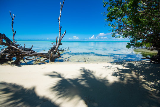 Ngarchelong Imagens – Procure 29 fotos, vetores e vídeos | Adobe Stock