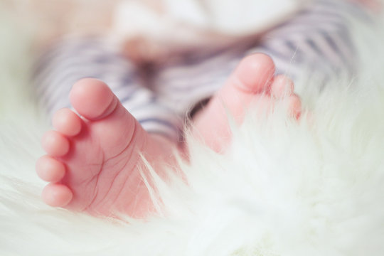 Orteilles Images – Browse 7 Stock Photos, Vectors, and Video | Adobe Stock