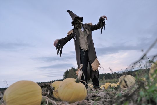 Scary Scarecrow Wallpaper
