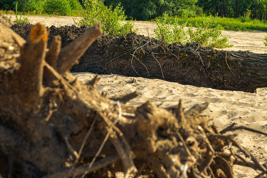 Reingefallen Bilder – Durchsuchen 1,718 Archivfotos, Vektorgrafiken und ...