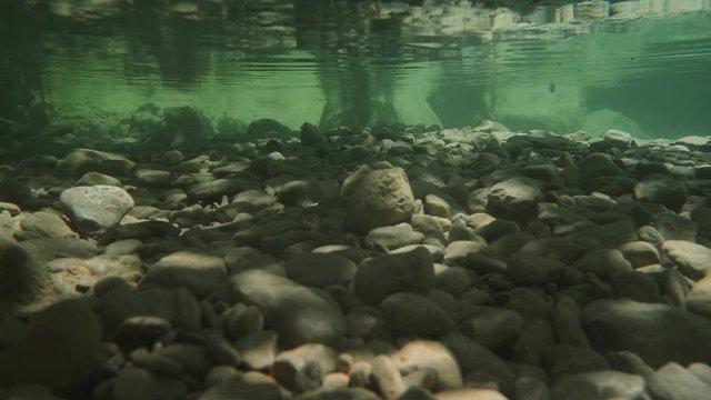 Rockpool Images – Browse 27,574 Stock Photos, Vectors, and Video ...