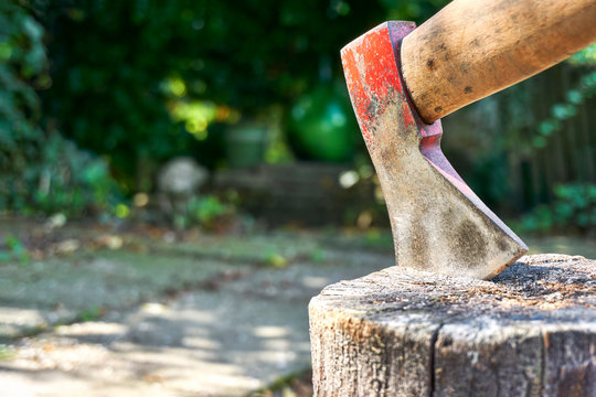 Tree Injectorhypo Hatchet