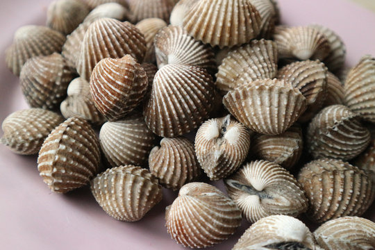 Krang Images – Browse 522 Stock Photos, Vectors, and Video | Adobe Stock