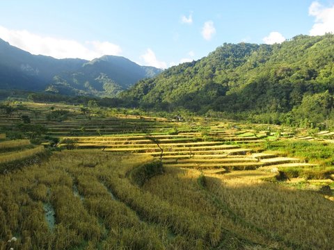 Khonoma Images – Browse 55 Stock Photos, Vectors, and Video | Adobe Stock