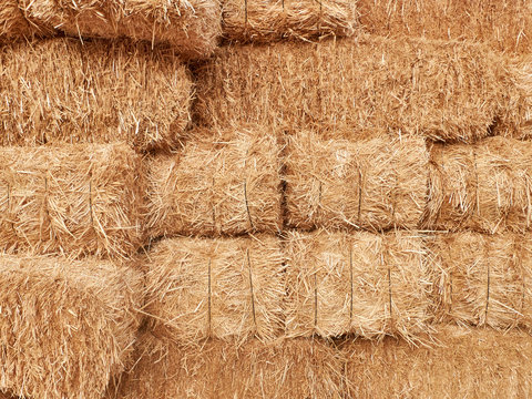 "Pile Of Hay" Images – Browse 91 Stock Photos, Vectors, and Video ...