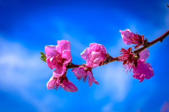 รูปภาพBreanch – เลือกดูภาพถ่ายสต็อก เวกเตอร์ และวิดีโอ130 | Adobe Stock