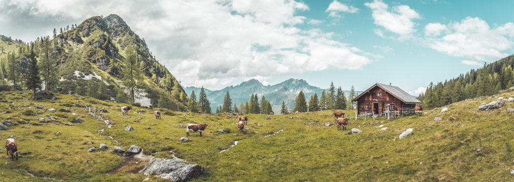 Alp Bilder – Durchsuchen 296,155 Archivfotos, Vektorgrafiken und Videos ...