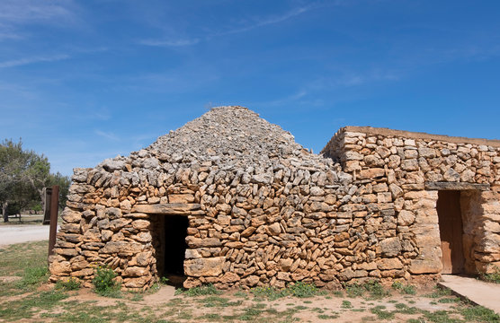 Cucu bilder – Bläddra bland 135 stockfoton, vektorer och videor | Adobe ...