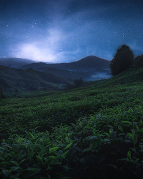 Albert Yoon photos, images, assets | Adobe Stock