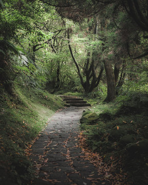 Albert Yoon photos, images, assets | Adobe Stock