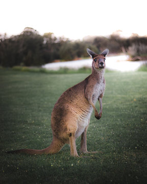 Albert Yoon photos, images, assets | Adobe Stock