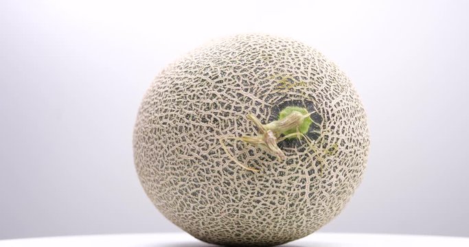 Japanese Melon"」の写真素材 | 308件の無料イラスト画像 | Adobe Stock