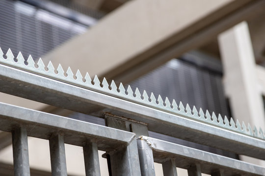 Strut Bilder – Durchsuchen 14,922 Archivfotos, Vektorgrafiken und ...