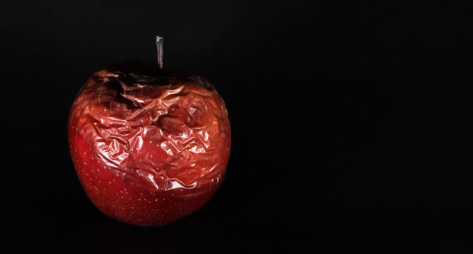 "Bad Apple" Images – Browse 347 Stock Photos, Vectors, and Video ...