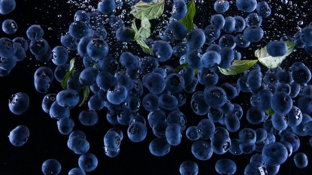 "Forest Berries" Immagini - Sfoglia 2,149 foto, vettoriali e video ...