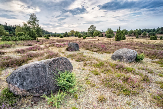Wilsede bilder – Bläddra bland 713 stockfoton, vektorer och videor ...