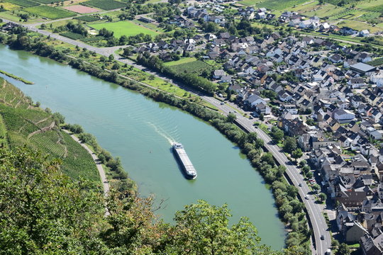 Neef Bilder – Durchsuchen 314 Archivfotos, Vektorgrafiken und Videos ...