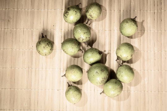 Kinnip bilder – Bläddra bland 3,220 stockfoton, vektorer och videor ...