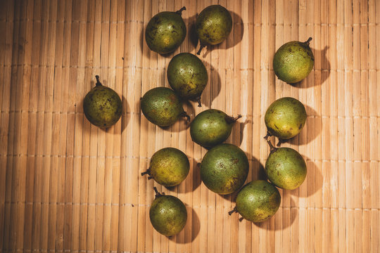 Kinnip bilder – Bläddra bland 3,220 stockfoton, vektorer och videor ...