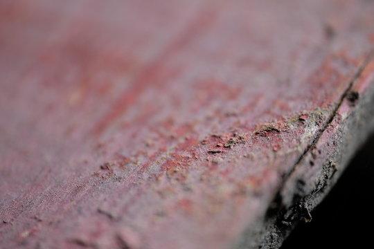 รูปภาพVerwesung – เลือกดูภาพถ่ายสต็อก เวกเตอร์ และวิดีโอ735 | Adobe Stock