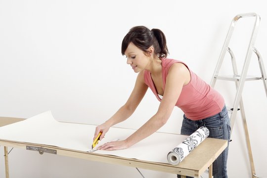 Women Do It Yourself Images – Browse 105,463 Stock Photos, Vectors, and ...