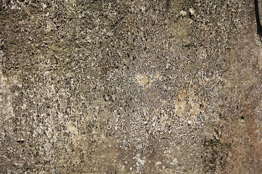 "Rough Surface" Images – Browse 43,547 Stock Photos, Vectors, and Video ...