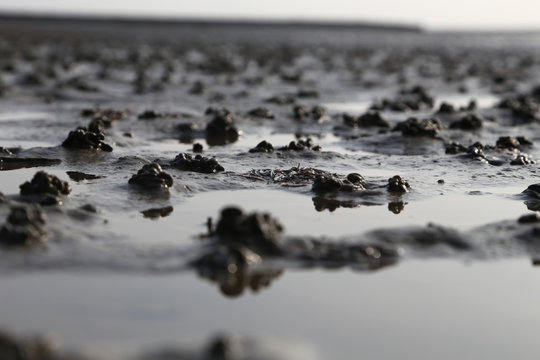 Erdhaufen Bilder – Durchsuchen 653 Archivfotos, Vektorgrafiken und ...
