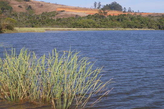 รูปภาพCalmo – เลือกดูภาพถ่ายสต็อก เวกเตอร์ และวิดีโอ14,902 | Adobe Stock