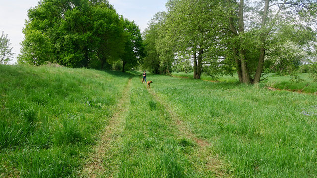 Imagens de Tobben – Explore Fotografias do Stock, Vetores e Vídeos de ...