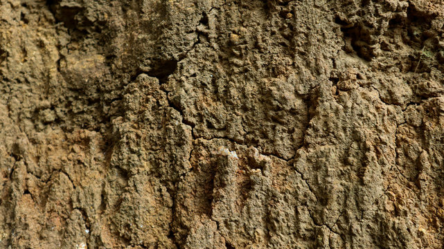 Mus Bilder – Durchsuchen 9,444 Archivfotos, Vektorgrafiken und Videos ...