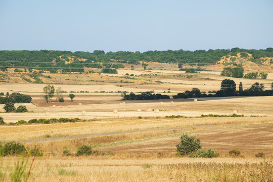 รูปภาพCastellano – เลือกดูภาพถ่ายสต็อก เวกเตอร์ และวิดีโอ1,493 | Adobe ...